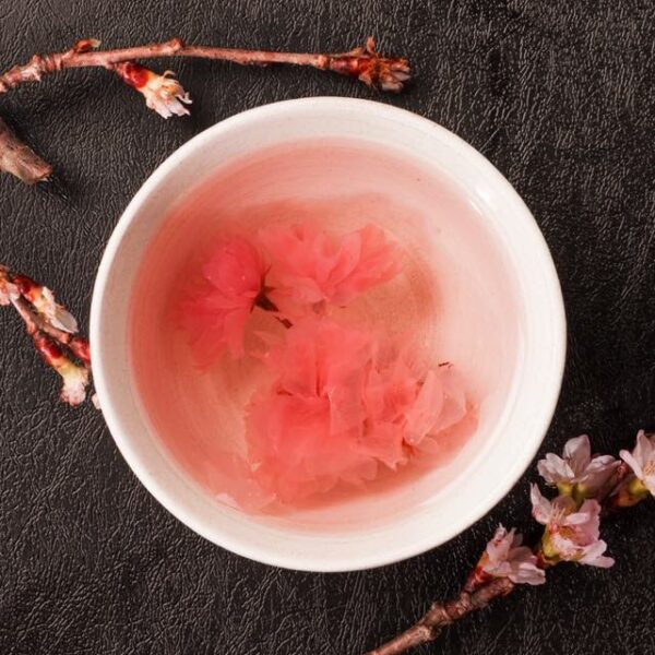 Buy Cherry Blossom Powder Flavor and Sprinkles - Sakura Extract Concentrate