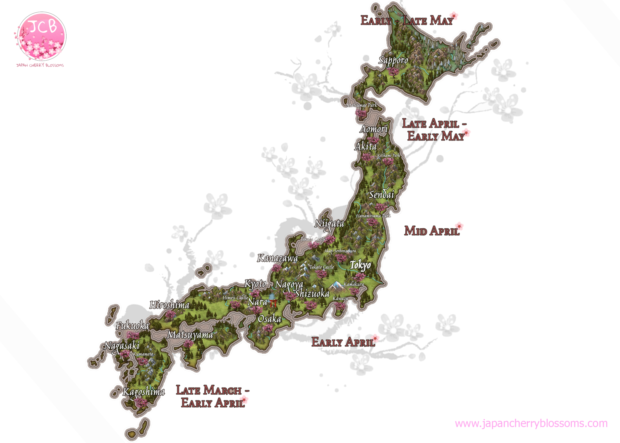 Somei Yoshino - Japan Cherry Blossoms